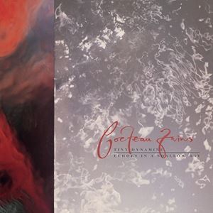 TINY DYNAMIME ／ ECHOES IN A SHALLOW BAYLP発売日2015/7/17詳しい納期他、ご注文時はご利用案内・返品のページをご確認くださいジャンル洋楽ロック　アーティストコクトー・ツインズCOCTEAU TW...