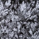 ゴージーラ グラビング ア クロコダイルCD発売日2014/6/4詳しい納期他、ご注文時はご利用案内・返品のページをご確認くださいジャンル洋楽ロック　アーティストゴー!ジーラ収録時間35分55秒組枚数1商品説明ゴー!ジーラ / Grabbi...