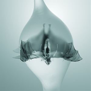 ANGEL （NATURAL CLEAR）2LP発売日2025/10/31詳しい納期他、ご注文時はご利用案内・返品のページをご確認くださいジャンル洋楽ハードロック/ヘヴィメタル　アーティストアンプロセスドUNPROCESSED収録時間組枚数...