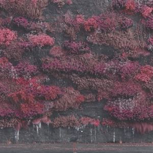 EVEN IN ARCADIACD発売日2025/5/9詳しい納期他、ご注文時はご利用案内・返品のページをご確認くださいジャンル洋楽ロック　アーティストスリープ・トークンSLEEP TOKEN収録時間組枚数商品説明SLEEP TOKEN /...