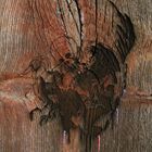 ENTER THE SLASHER HOUSECD発売日2014/4/8詳しい納期他、ご注文時はご利用案内・返品のページをご確認くださいジャンル洋楽ロック　アーティストエイヴィ・テアズ・スラッシャー・フリックスAVEY TARE’S SLA...