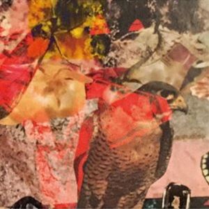 メルツバウ ダブル ビート シーケンサ ボリューム 3CD発売日2021/11/19詳しい納期他、ご注文時はご利用案内・返品のページをご確認くださいジャンルイージーリスニングヒーリング/ニューエイジ　アーティストMERZBOW収録時間組枚数...