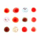 SCRATCH MY BACK ／ AND I ’LL SCRATCH YOURS2CD発売日2013/9/28詳しい納期他、ご注文時はご利用案内・返品のページをご確認くださいジャンル洋楽ロック　アーティストピーター・ガブリエルPETER ...