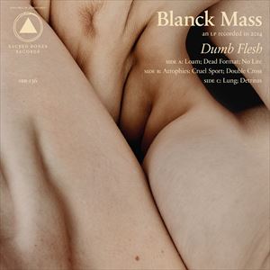 DUMB FLESHCD発売日2015/5/12詳しい納期他、ご注文時はご利用案内・返品のページをご確認くださいジャンル洋楽ロック　アーティストブランク・マスBLANCK MASS収録時間組枚数商品説明BLANCK MASS / DUMB ...