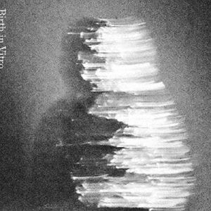 フルス バース イン ビトロCD発売日2026/4/29初回予約分締切日2026/3/21 AM 7:59詳しい納期他、ご注文時はご利用案内・返品のページをご確認くださいジャンル邦楽ロック/ソウル　アーティストfulusu収録時間組枚数1関...