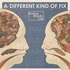 DIFFERENT KIND OF FIXCD発売日2011/8/25詳しい納期他、ご注文時はご利用案内・返品のページをご確認くださいジャンル洋楽ロック　アーティストボンベイ・バイシクル・クラブBOMBAY BICYCLE CLUB収録時間...