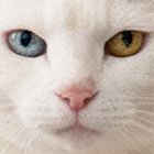 ケツメイシ ツキトタイヨウCD発売日2013/5/22詳しい納期他、ご注文時はご利用案内・返品のページをご確認くださいジャンル邦楽J-POP　アーティストケツメイシ収録時間13分06秒組枚数2関連キーワード：シングル商品説明ケツメイシ / ...
