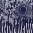 サン ザグリムローブデモスCD発売日2007/10/31詳しい納期他、ご注文時はご利用案内・返品のページをご確認くださいジャンル洋楽ロック　アーティストSUNN O）））収録時間組枚数2商品説明SUNN O））） / ザ・グリムローブ・デモ...