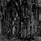 サン ブラックワンCD発売日2007/4/13詳しい納期他、ご注文時はご利用案内・返品のページをご確認くださいジャンル洋楽ロック　アーティストSUNN O）））収録時間組枚数2商品説明SUNN O））） / ブラック・ワンブラックワン※こち...