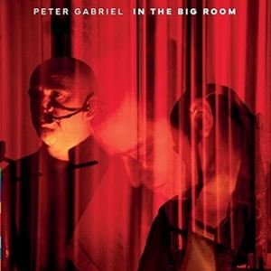 IN THE BIG ROOM2CD発売日2026/6/26詳しい納期他、ご注文時はご利用案内・返品のページをご確認くださいジャンル洋楽ロック　アーティストピーター・ガブリエルPETER GABRIEL収録時間組枚数商品説明PETER GA...