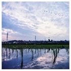 キュー ドラマCD発売日2013/5/11詳しい納期他、ご注文時はご利用案内・返品のページをご確認くださいジャンルイージーリスニングヒーリング/ニューエイジ　アーティスト［.que］収録時間52分37秒組枚数1商品説明［.que］ / dr...