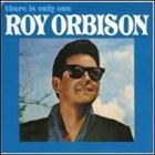 THERE IS ONLY ONE ROYCD発売日2008/9/18詳しい納期他、ご注文時はご利用案内・返品のページをご確認くださいジャンル洋楽ロック　アーティストロイ・オービソンROY ORBISON収録時間組枚数商品説明ROY ORB...