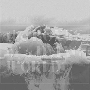 BONES OF A DYING WORLD （COLORED VINYL）2LP発売日2021/8/13詳しい納期他、ご注文時はご利用案内・返品のページをご確認くださいジャンル洋楽ハードロック/ヘヴィメタル　アーティストイフ・ジーズ・ツリ...