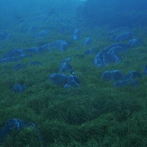 シーハーハーハーズ ディフュージョン オブ レスポンシビリティCD発売日2023/11/29詳しい納期他、ご注文時はご利用案内・返品のページをご確認くださいジャンル邦楽ロック/ソウル　アーティストShe Her Her Hers収録時間組枚...