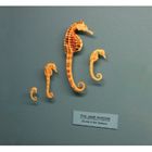 ジェイドシェイダー カース オブ ザ トゥアタラCD発売日2012/7/1詳しい納期他、ご注文時はご利用案内・返品のページをご確認くださいジャンル洋楽ロック　アーティストザ・ジェイド・シェイダー収録時間19分52秒組枚数1商品説明ザ・ジェイ...