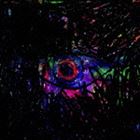 キノコテイコク ユーリカCD発売日2013/2/6詳しい納期他、ご注文時はご利用案内・返品のページをご確認くださいジャンル邦楽ロック/ソウル　アーティストきのこ帝国収録時間47分57秒組枚数1商品説明きのこ帝国 / eurekaユーリカ20...