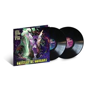 SUMMER OF SORCERY2LP発売日2019/5/3詳しい納期他、ご注文時はご利用案内・返品のページをご確認くださいジャンル洋楽ロック　アーティストリトル・スティーヴンLITTLE STEVEN収録時間組枚数商品説明LITTLE ...