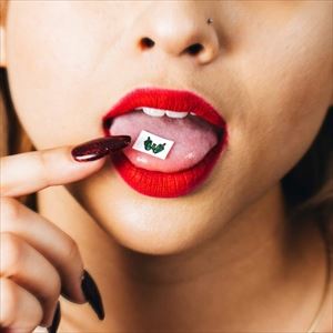 TASTY NASTYCD発売日2018/8/24詳しい納期他、ご注文時はご利用案内・返品のページをご確認くださいジャンル洋楽ロック　アーティストウィルソンWILSON収録時間組枚数商品説明WILSON / TASTY NASTYウィルソン...
