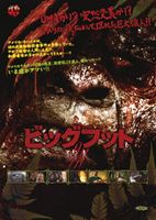 DVD発売日2011/12/9詳しい納期他、ご注文時はご利用案内・返品のページをご確認くださいジャンル洋画パニック　監督ボブ・グレイ出演トッド・コックスリザ・フォスターボブ・グレイセーブリオ・マーリンブルック・ベックズウェス・シフォナーロバ...