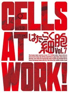 Blu-ray発売日2019/2/27詳しい納期他、ご注文時はご利用案内・返品のページをご確認くださいジャンルアニメテレビアニメ　監督鈴木健一出演花澤香菜前野智昭小野大輔井上喜久子長縄まりあ収録時間48分組枚数2関連キーワード：デイヴィッド...