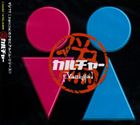 CD発売日2009/7/22詳しい納期他、ご注文時はご利用案内・返品のページをご確認くださいジャンル邦楽ロック/ソウル　アーティスト【＿Vani；lla】収録時間組枚数1商品説明【＿Vani；lla】 / 偽カルチャー※こちらの商品はインデ...