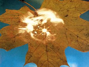 FORCE OF THE WINDLP発売日2022/10/28詳しい納期他、ご注文時はご利用案内・返品のページをご確認くださいジャンル洋楽ワールドミュージックその他　アーティストソユーズ（??IO3）SOYUZ （??IO3）収録時間組枚...