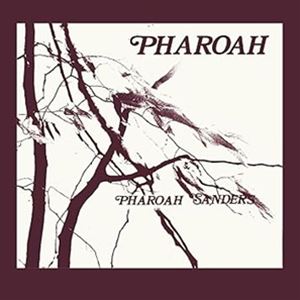 PHAROAH12inchx2発売日2023/9/15詳しい納期他、ご注文時はご利用案内・返品のページをご確認くださいジャンルジャズ・フュージョン海外ジャズ　アーティストファラオ・サンダースPHAROAH SANDERS収録時間組枚数商品説...