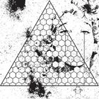 BETRAYED IN THE OCTAGONLP発売日2013/4/23詳しい納期他、ご注文時はご利用案内・返品のページをご確認くださいジャンル洋楽クラブ/テクノ　アーティストワンオートリックス・ポイント・ネヴァーONEOHTRIX PO...