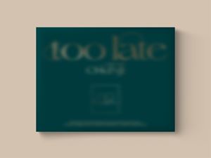 1ST SINGLE ： TOO LATECD発売日2022/12/17詳しい納期他、ご注文時はご利用案内・返品のページをご確認くださいジャンル洋楽アジアンポップス　アーティストチョンジ（ティーントップ）CHUNJI （TEEN TOP）収...