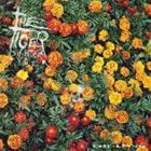 タイガーシットタイガータイガー フォーエバー ヤングCD発売日2013/12/28詳しい納期他、ご注文時はご利用案内・返品のページをご確認くださいジャンル洋楽ロック　アーティストタイガー!シット!タイガー!タイガー!収録時間組枚数1商品説明...