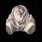 オーカスタス オーカスタスCD発売日2009/3/20詳しい納期他、ご注文時はご利用案内・返品のページをご確認くださいジャンル洋楽ハードロック/ヘヴィメタル　アーティストオーカスタス収録時間組枚数1商品説明オーカスタス / オーカスタスオー...