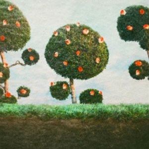 ミッドナイトシスター ペインティング ザ ローゼズCD発売日2021/2/10詳しい納期他、ご注文時はご利用案内・返品のページをご確認くださいジャンル洋楽ポップス　アーティストMIDNIGHT SISTER収録時間組枚数1商品説明MIDNI...