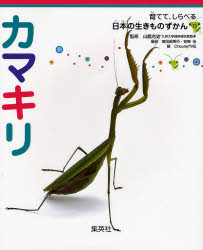 山脇兆史／監修 若田部美行／撮影 安東浩／撮影 Cheung＊ME／絵育てて、しらべる日本の生きものずかん 13本詳しい納期他、ご注文時はご利用案内・返品のページをご確認ください出版社名集英社出版年月2007年02月サイズ39P 27cmI...