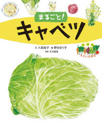 八田尚子／文 野村まり子／絵絵図解やさい応援団本詳しい納期他、ご注文時はご利用案内・返品のページをご確認ください出版社名絵本塾出版出版年月2012年12月サイズ31P 27cmISBNコード9784864840156児童 学習 乗り物・食べ...