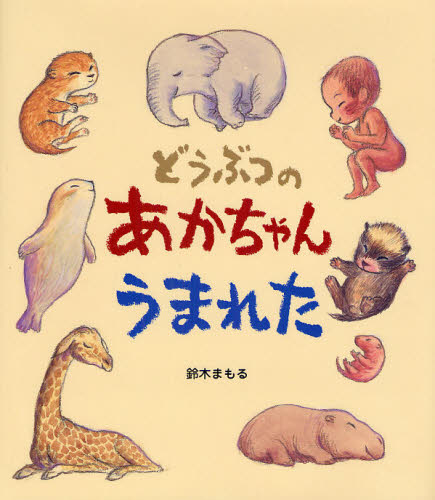 鈴木まもる／作えほんひろば本詳しい納期他、ご注文時はご利用案内・返品のページをご確認ください出版社名小峰書店出版年月2008年09月サイズ〔32P〕 25cmISBNコード9784338180283児童 知育絵本 知育絵本その他商品説明どう...
