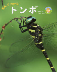 尾園暁／著 二橋亮／監修しぜんのひみつ写真館 7本詳しい納期他、ご注文時はご利用案内・返品のページをご確認ください出版社名ポプラ社出版年月2016年06月サイズ69P 27cmISBNコード9784591150290児童 創作絵本 写真絵本...