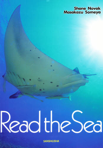 Shane Novak／編注 染矢正一／編注本詳しい納期他、ご注文時はご利用案内・返品のページをご確認ください出版社名三修社出版年月1996年03月サイズ127P 21cmISBNコード9784384320299語学 英語 英語学商品説明海...