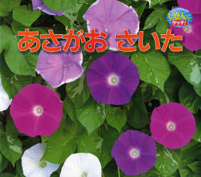 大久保茂徳／監修 片野隆司／写真撮影しぜんにタッチ!本詳しい納期他、ご注文時はご利用案内・返品のページをご確認ください出版社名ひさかたチャイルド出版年月2007年03月サイズ27P 21×24cmISBNコード9784893250650児童...