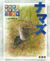 前畑政善／文・写真田んぼの生きものたち本詳しい納期他、ご注文時はご利用案内・返品のページをご確認ください出版社名農山漁村文化協会出版年月2014年04月サイズ56P 27cmISBNコード9784540101236児童 学習 動物・植物・魚...