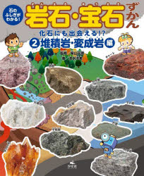 柴山元彦／監修 清水洋美／著本詳しい納期他、ご注文時はご利用案内・返品のページをご確認ください出版社名汐文社出版年月2025年01月サイズ31P 27cmISBNコード9784811331669児童 学習 図書館向け商品説明石のふしぎがわか...