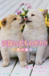 堀田敦子／原作 藤咲あゆな／著 環方このみ／イラスト小学館ジュニア文庫 ジほ-1-7本詳しい納期他、ご注文時はご利用案内・返品のページをご確認ください出版社名小学館出版年月2017年12月サイズ191P 18cmISBNコード9784092...