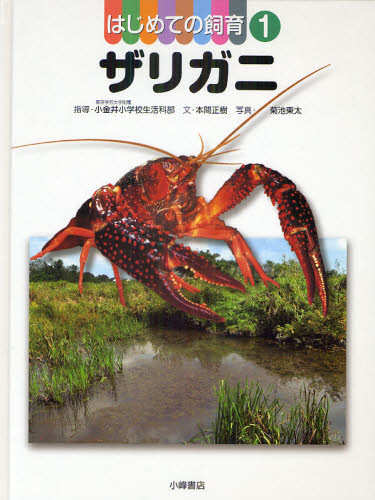 東京学芸大学附属小金井小学校生活科部／指導 本間正樹／文 菊池東太／写真本詳しい納期他、ご注文時はご利用案内・返品のページをご確認ください出版社名小峰書店出版年月2011年04月サイズ35P 29cmISBNコード9784338262019...