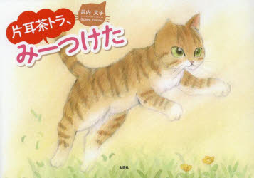 武内文子／著本詳しい納期他、ご注文時はご利用案内・返品のページをご確認ください出版社名文芸社出版年月2025年05月サイズ22P 15×21cmISBNコード9784286262369児童 創作絵本 創作絵本その他商品説明片耳茶トラ、みーつ...