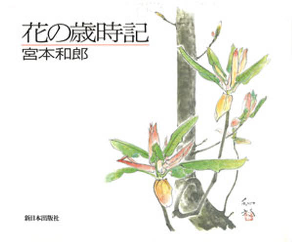 宮本和郎／著本詳しい納期他、ご注文時はご利用案内・返品のページをご確認ください出版社名新日本出版社出版年月1994年04月サイズ92P 19×23cmISBNコード9784406022460芸術 絵画・作品集 現代日本画商品説明花の歳時記ハ...
