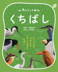 平野敏明／監修本詳しい納期他、ご注文時はご利用案内・返品のページをご確認ください出版社名理論社出版年月2019年09月サイズ32P 27cmISBNコード9784652202975児童 学習 動物・植物・魚・虫商品説明鳥のふしぎ いろいろな...