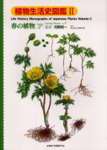 河野昭一／監修植物生活史図鑑 2本詳しい納期他、ご注文時はご利用案内・返品のページをご確認ください出版社名北海道大学図書刊行会出版年月2004年05月サイズ4，109P 30cmISBNコード9784832913813理学 生物学 植物学一...