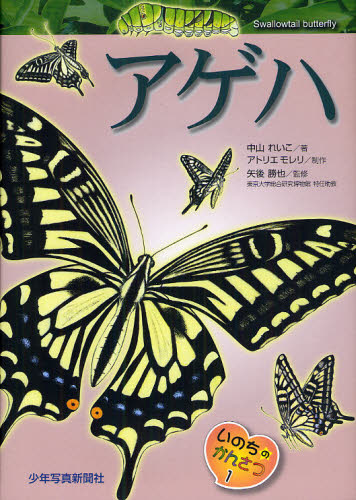 中山れいこ／著 アトリエモレリ／制作 矢後勝也／監修いのちのかんさつ 1本詳しい納期他、ご注文時はご利用案内・返品のページをご確認ください出版社名少年写真新聞社出版年月2012年02月サイズ47P 27cmISBNコード9784879814...