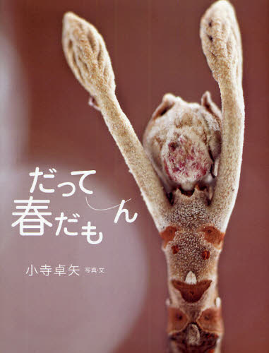 小寺卓矢／写真・文本詳しい納期他、ご注文時はご利用案内・返品のページをご確認ください出版社名アリス館出版年月2009年04月サイズ〔32P〕 26cmISBNコード9784752004424児童 創作絵本 写真絵本商品説明だって春だもんダツ...