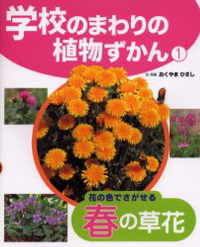 おくやまひさし／文・写真本詳しい納期他、ご注文時はご利用案内・返品のページをご確認ください出版社名ポプラ社出版年月2005年03月サイズ71P 26cmISBNコード9784591084601児童 学習 動物・植物・魚・虫商品説明学校のまわ...
