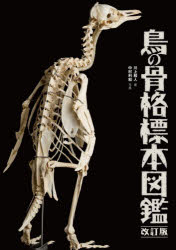 川上和人／著 中村利和／写真BIRDER SPECIAL本詳しい納期他、ご注文時はご利用案内・返品のページをご確認ください出版社名文一総合出版出版年月2026年01月サイズ167P 26cmISBNコード9784829975176理学 生物...